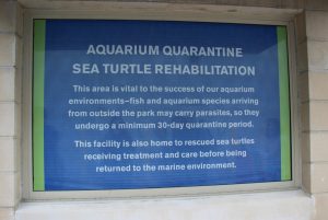 SeaWorld Inside Look Weekends • Twenty Something In Orlando