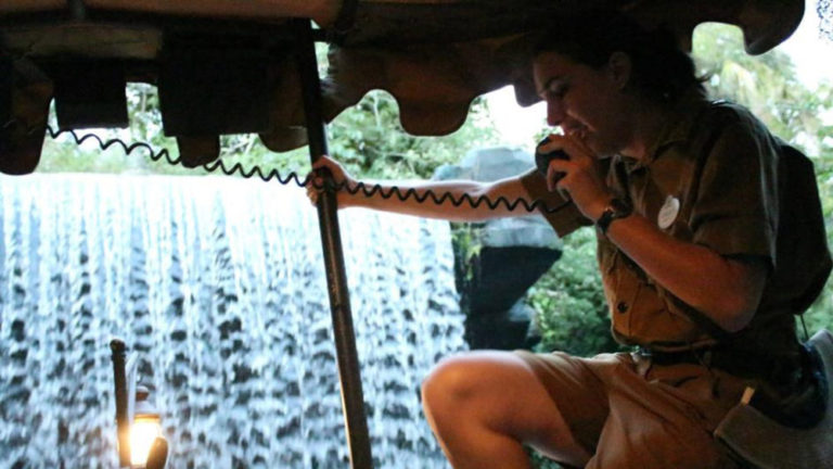 Life After Disney • Twenty Something In Orlando